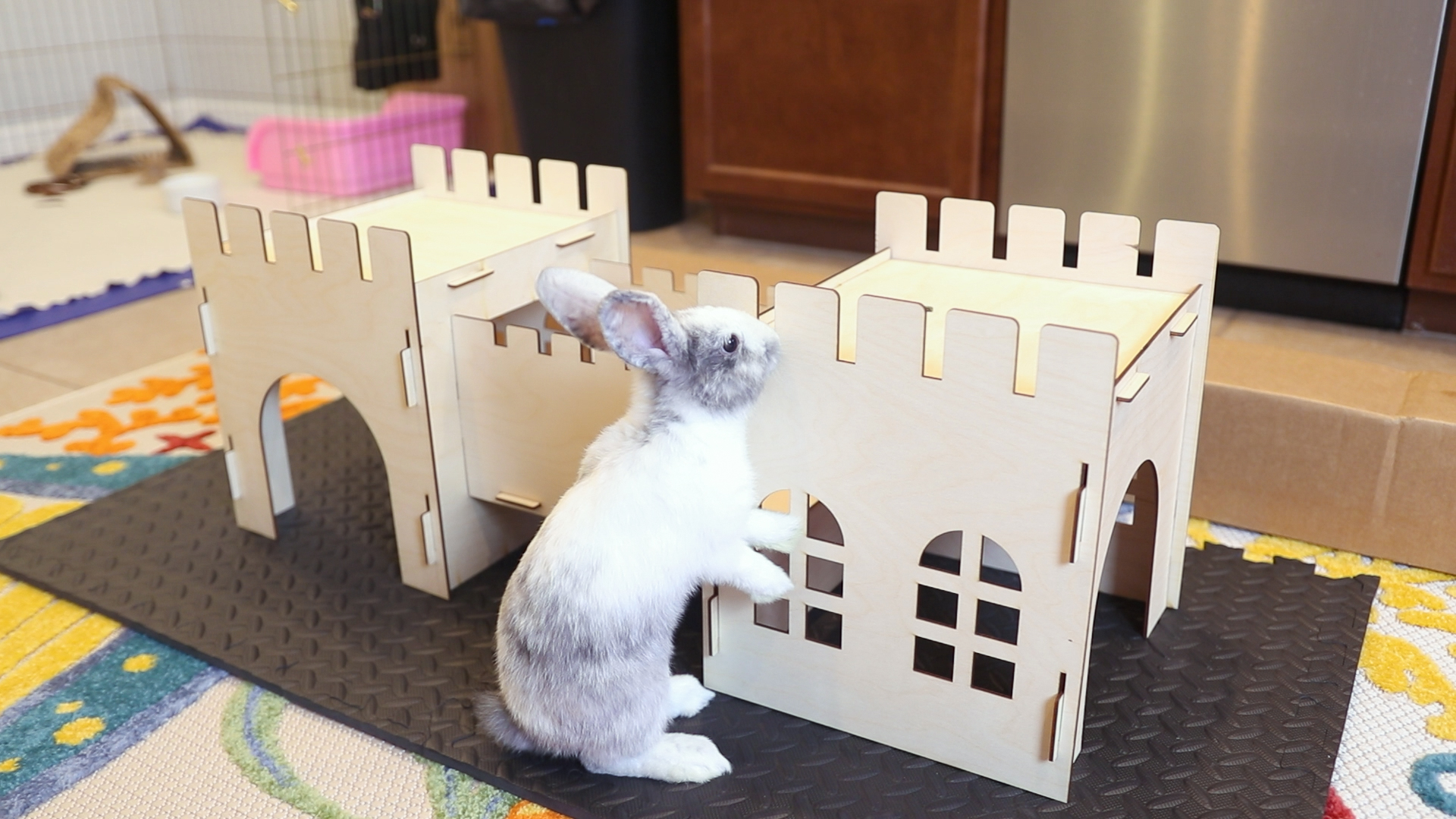 DIY Projects for My BUNNY | Small Pet Ideas (Sew + No Sew) – Sewing Report